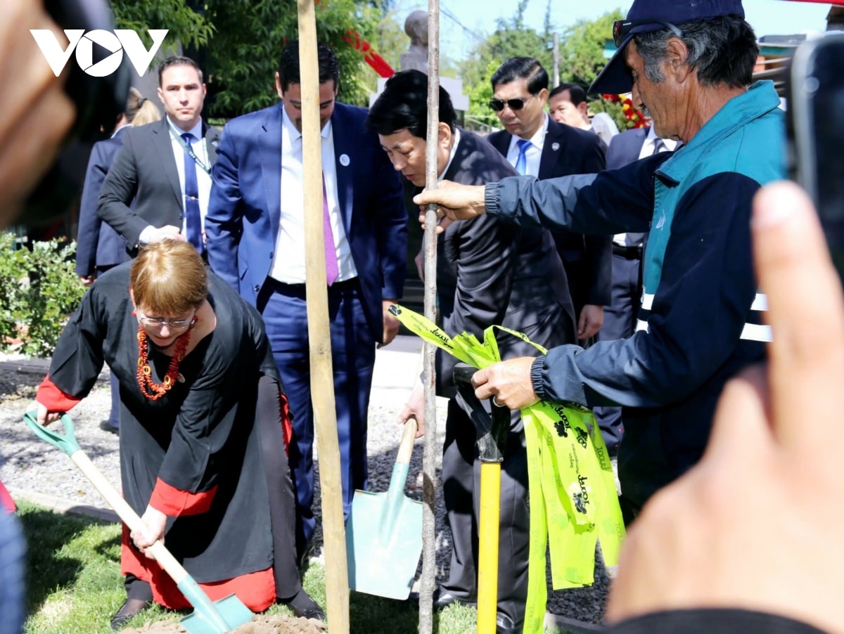 Chủ tịch nước Lương Cường đặt vòng hoa tưởng niệm Chủ tịch Hồ Chí Minh ...