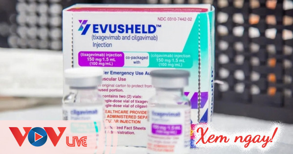 Bộ Y tế: EVUSHELD là thuốc, không phải là “siêu vaccine”