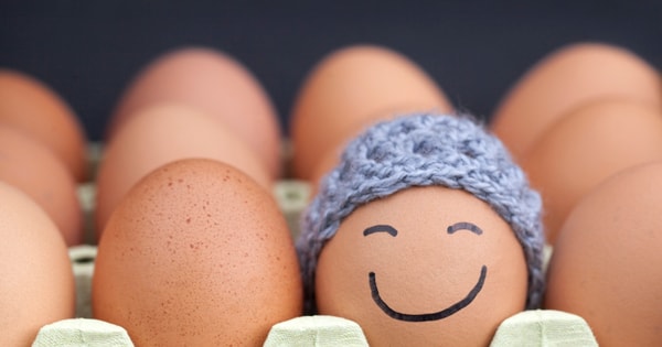 Trứng gà và trứng ngỗng, loại nào tốt hơn?